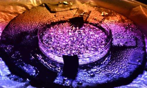 Martin Fleischmann and Stanley Pons In Their Own Words – COLD FUSION NOW!